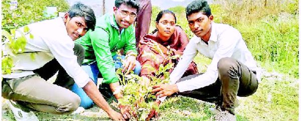 Nimra Engineering College Students Organize Plantation Campaign ...